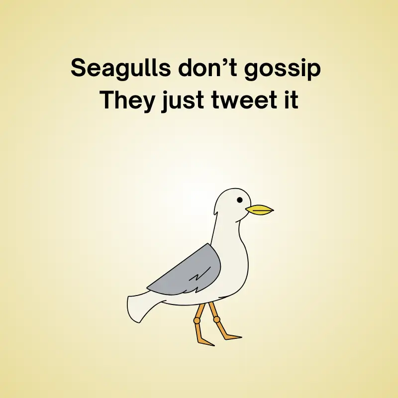 170+ Seagull Puns & Jokes to Crack You Up (Seriously!)