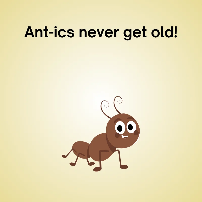150 Ant Puns & Jokes That Really Bug You (In a Fun Way!)